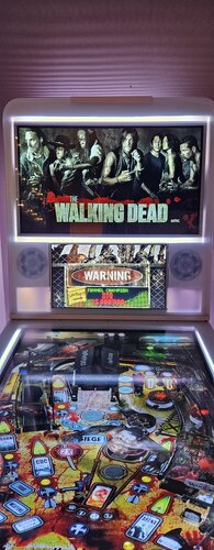 The Walking Dead (Stern 2014) Animated B2S for 2screens & full dmd ...