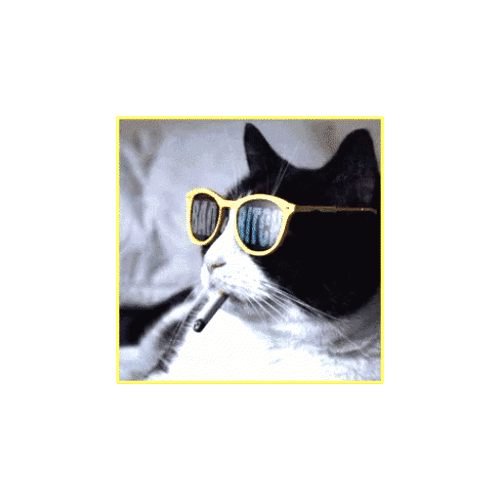Bad Cats (Williams 1989) cube - Animated Wheel Images (APNG) - Virtual ...